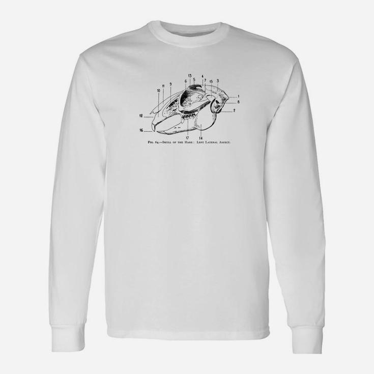Vintage Anatomy Skull Of A Hare Rabbit Tee Unisex Long Sleeve | Seseable
